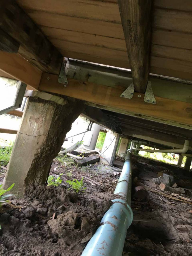 Timber Pest Management Gallery - MPL Training Centre