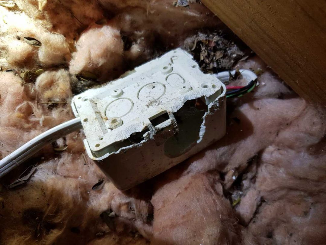 General Pest Management Gallery - MPL Training Centre